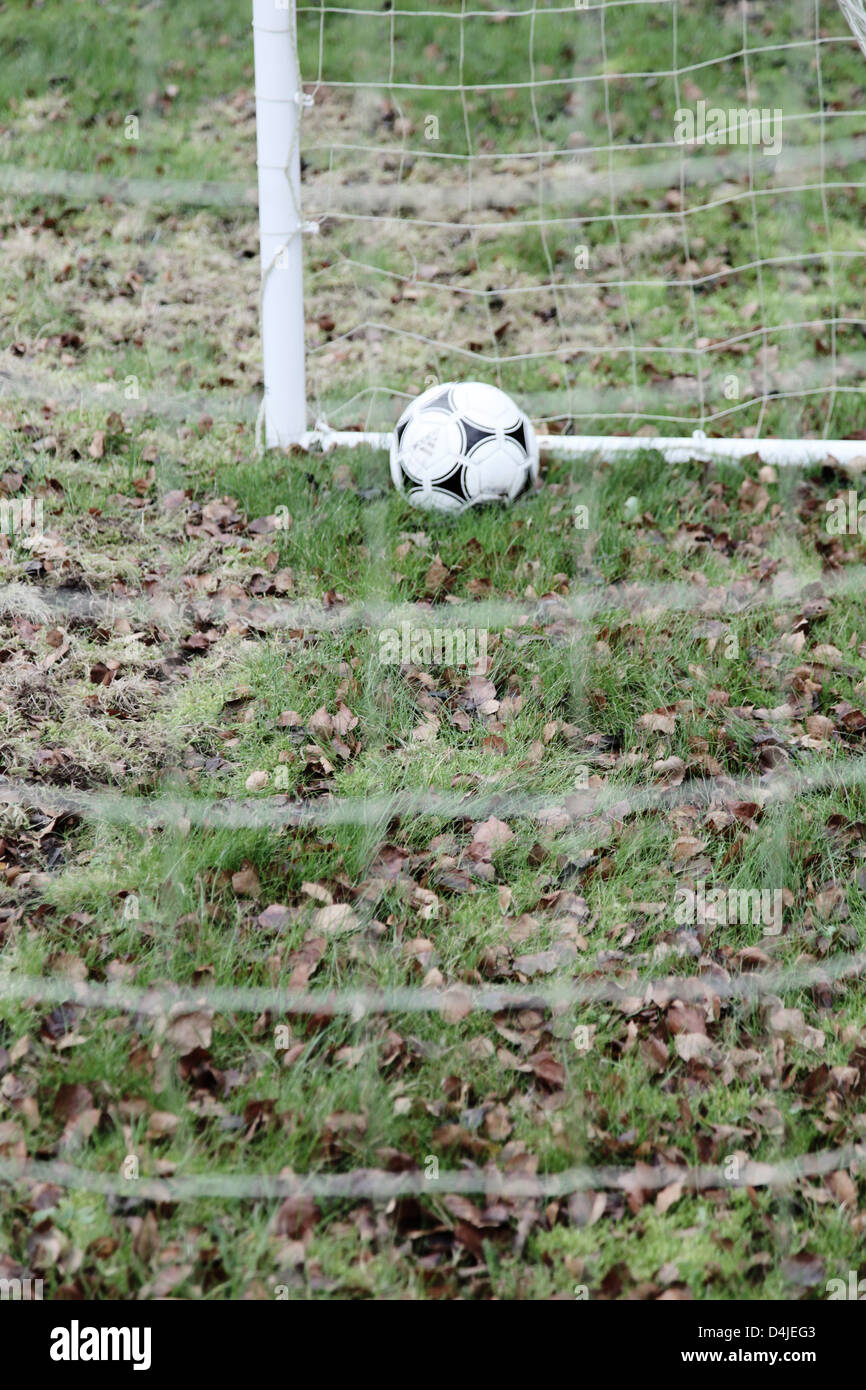 It's a photo of a small football field in the back garden park of a ...