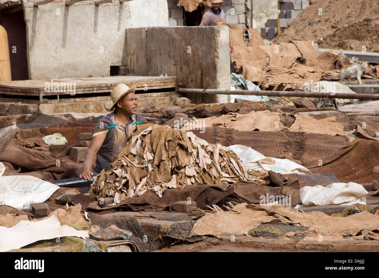 Morocco, Marrakech, Tannery Stock Photo - Alamy