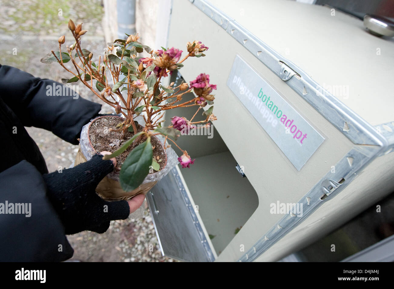 A person puts a plant into the baby flap at the artists village in ...