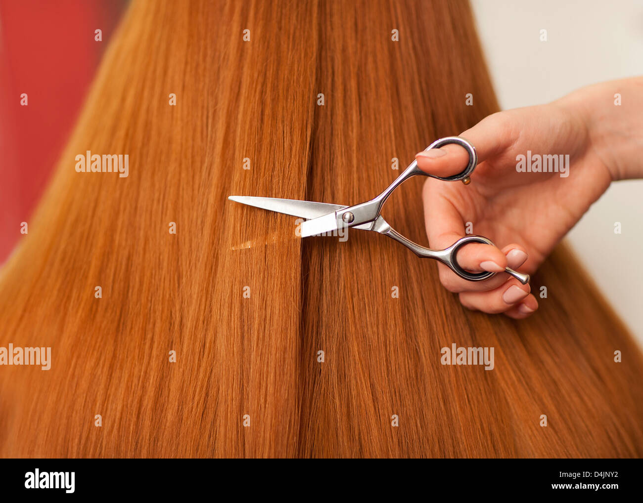 Close up of beautician's hand with a comb cutting red hair of woman ...