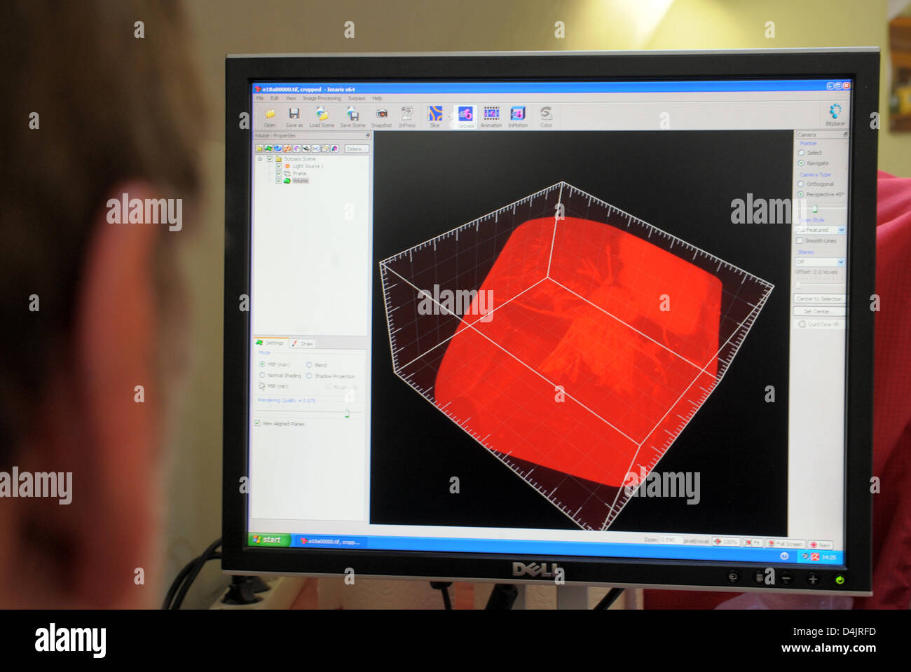 Three dimensional models hi-res stock photography and images - Alamy