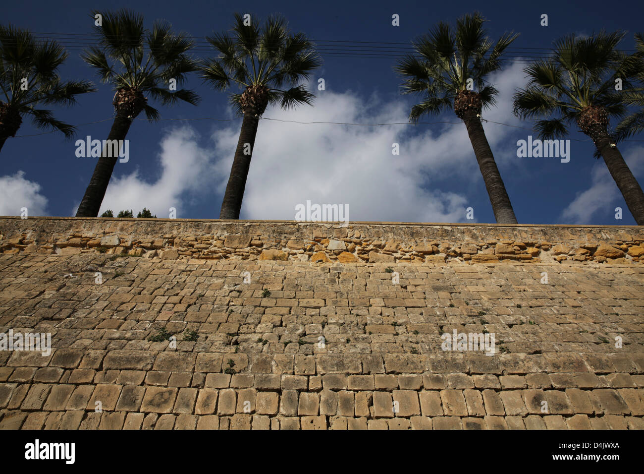 A part of a castle late at Nicosia with palms Stock Photo - Alamy