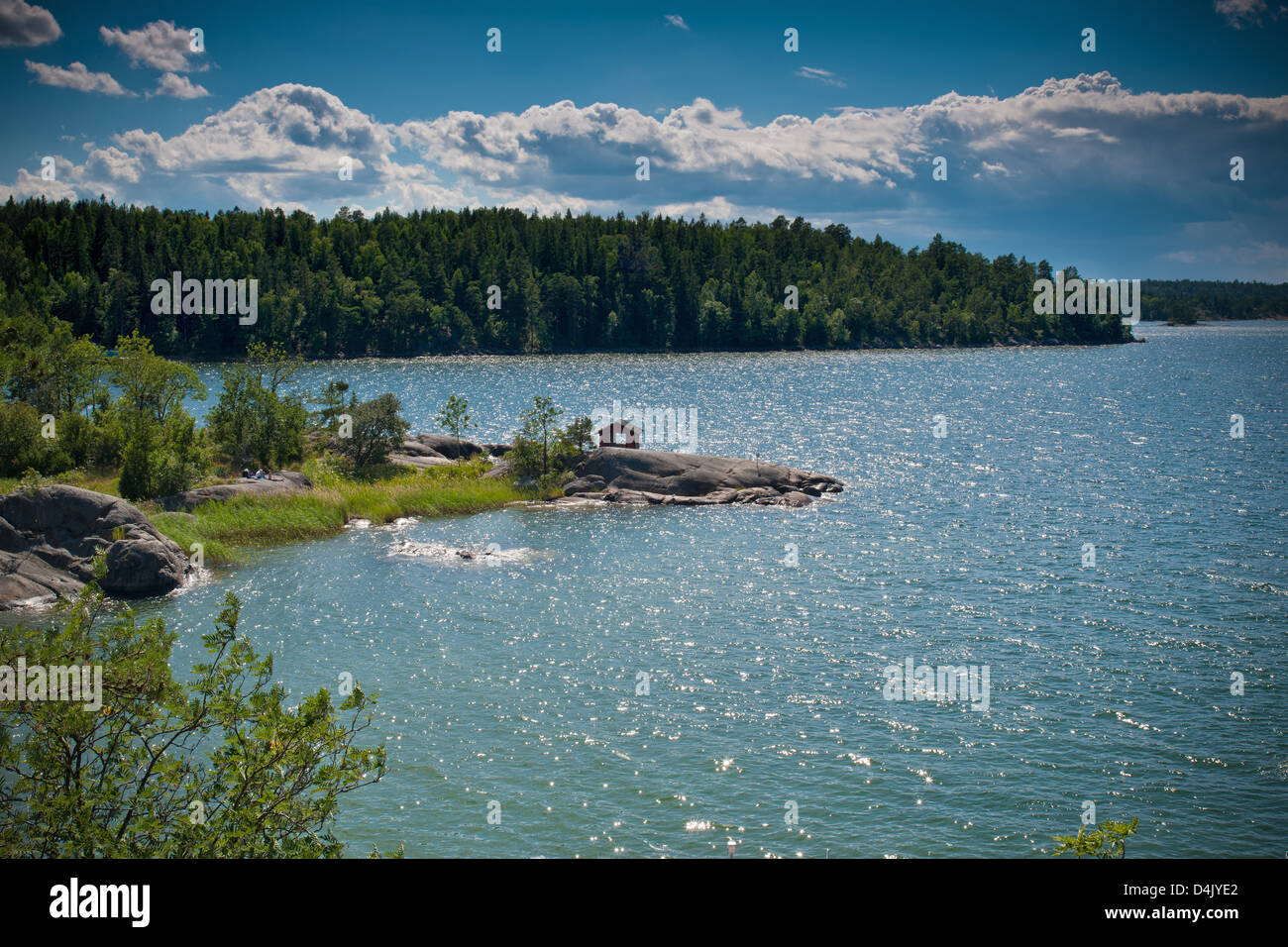 Forest and rural lake Stock Photo - Alamy