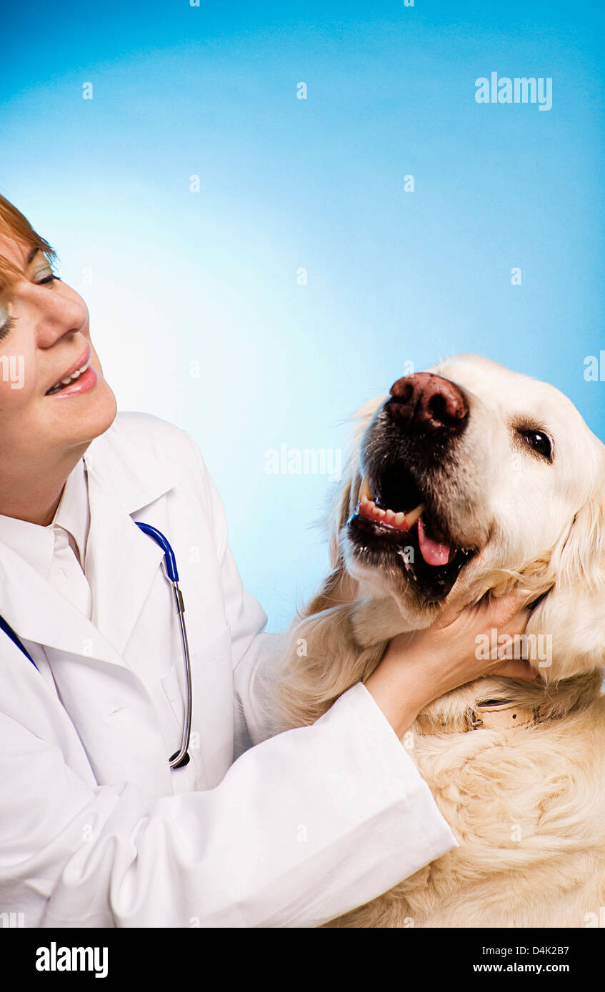 Vet with dog hi-res stock photography and images - Alamy