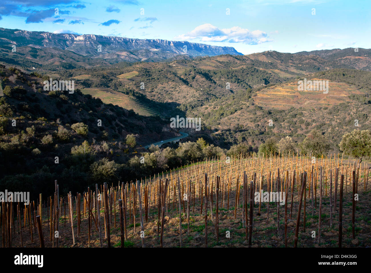 Priorat hi-res stock photography and images - Alamy
