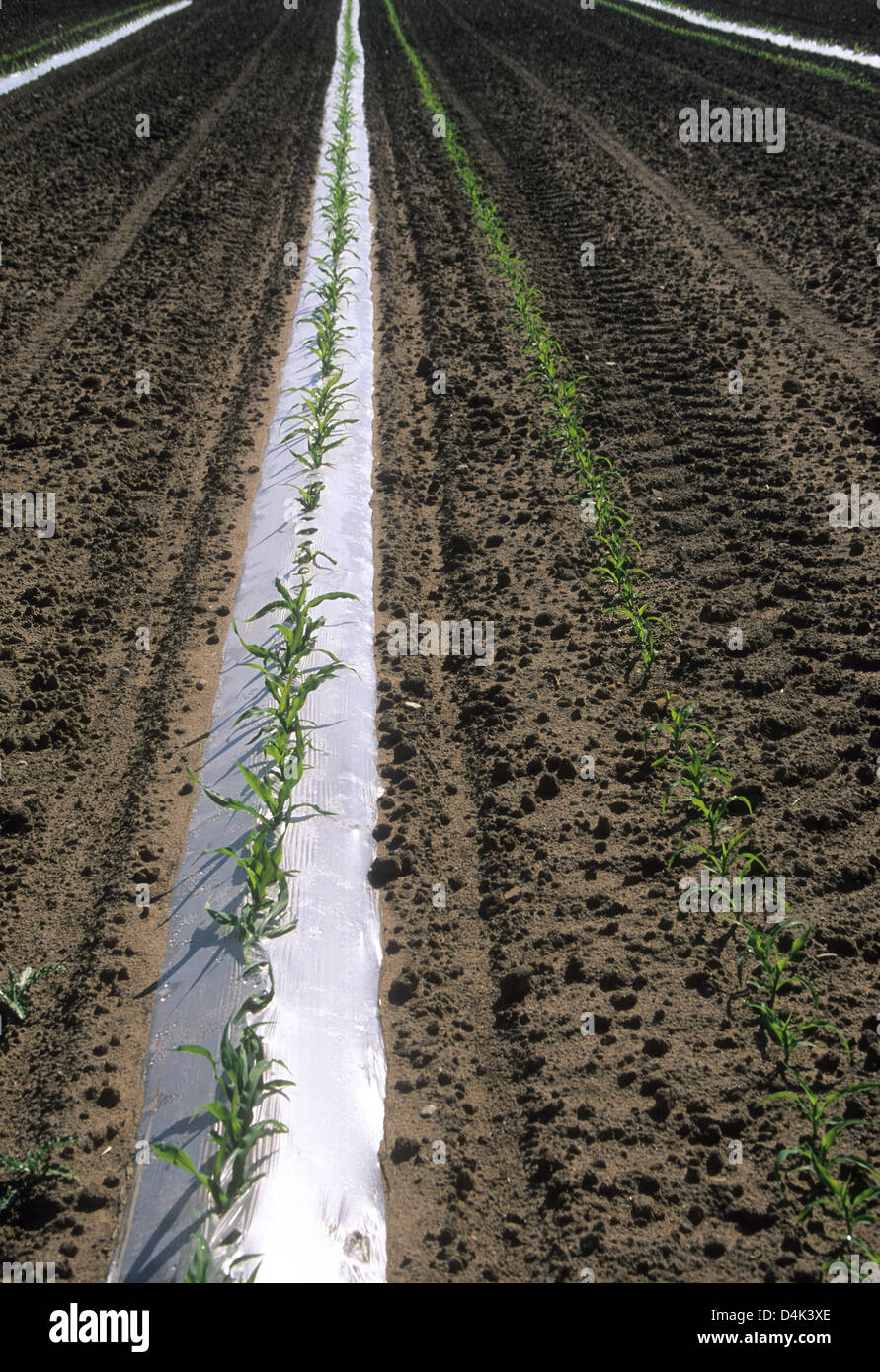 Cultivable fields hi-res stock photography and images - Alamy