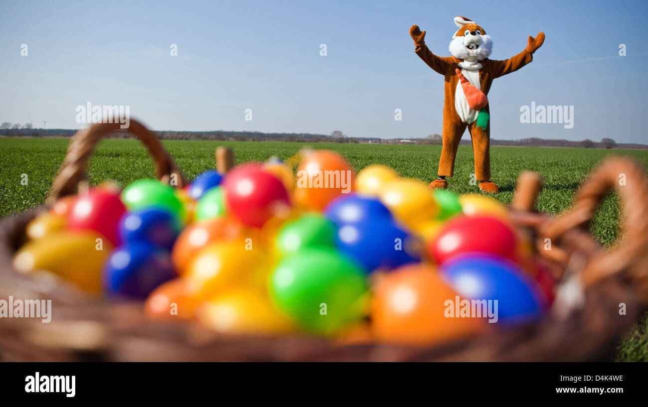 An Easter bunny hides colourful Easter eggs for children along the rail ...