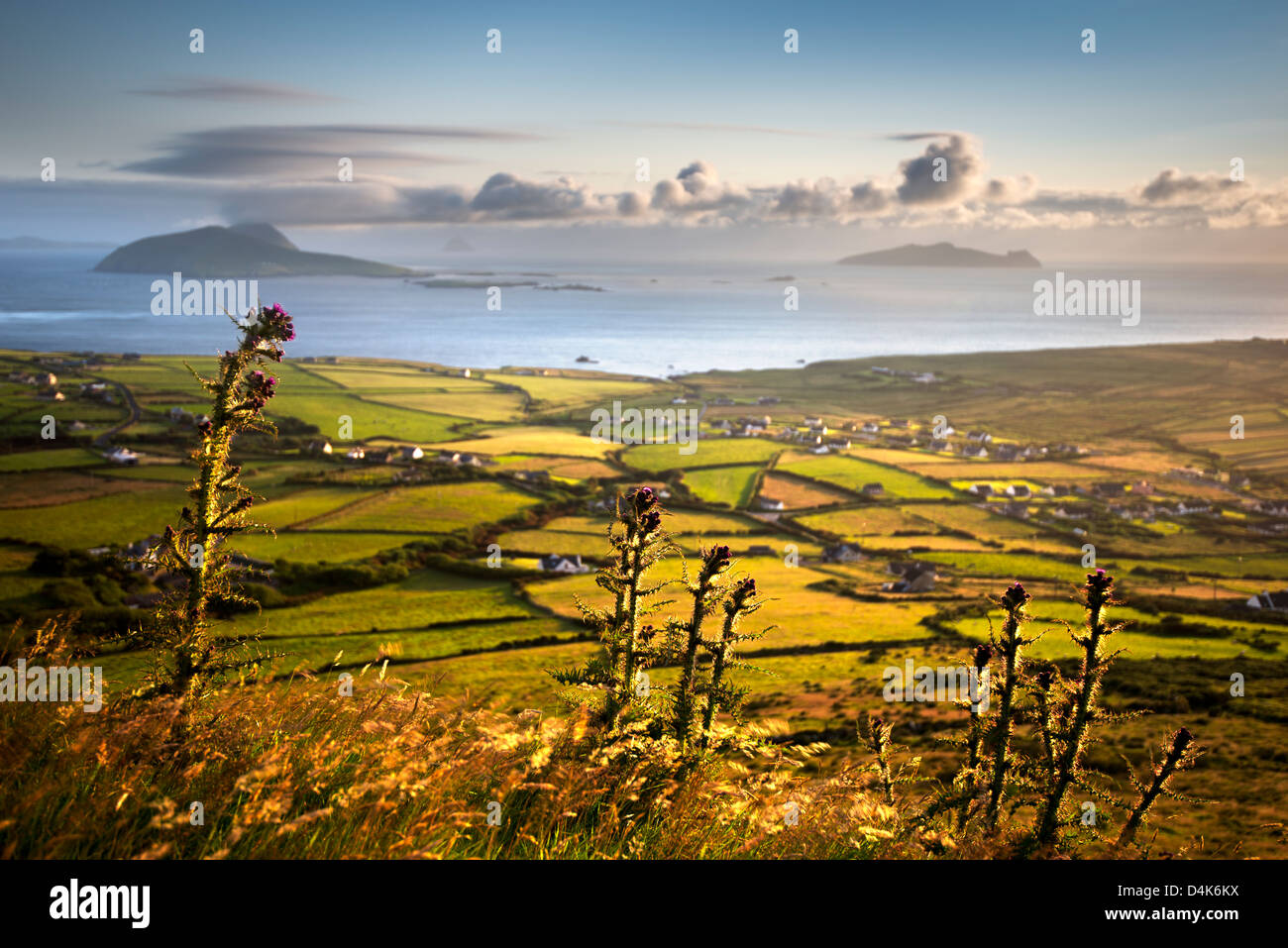 Irish hillside hi-res stock photography and images - Alamy