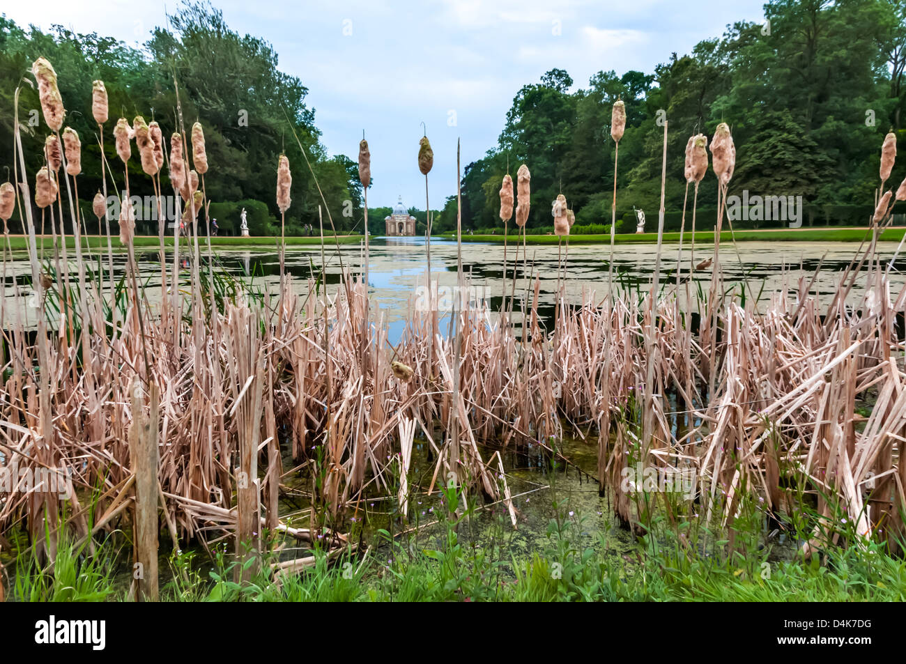 A view of the Pavilion looking through the bullrushes Stock Photo - Alamy