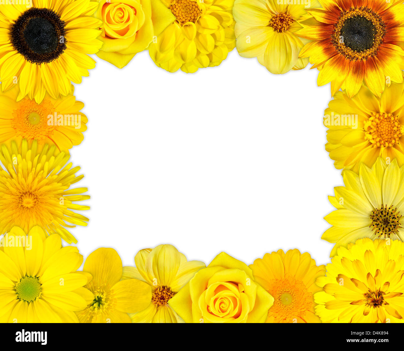 flower frame collection yellow gold orange bright set dahlia ...
