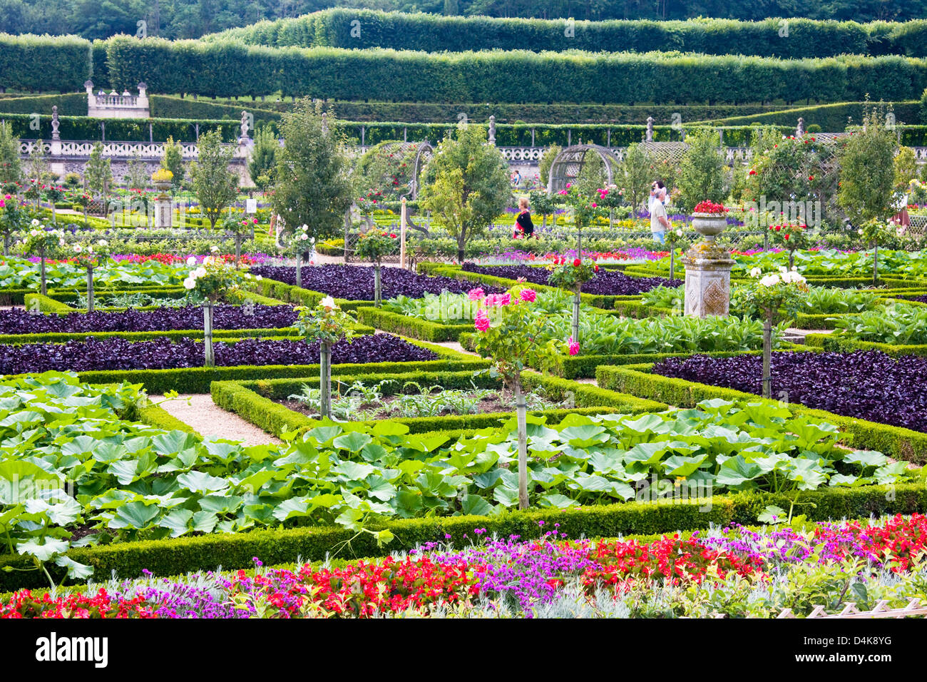 Formal kitchen garden hi-res stock photography and images - Alamy