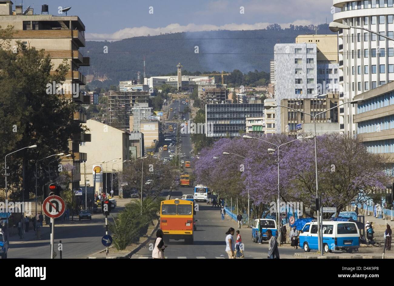 (dpa file) - Purple Jacaranda trees on Churchill Avenue in the centre ...