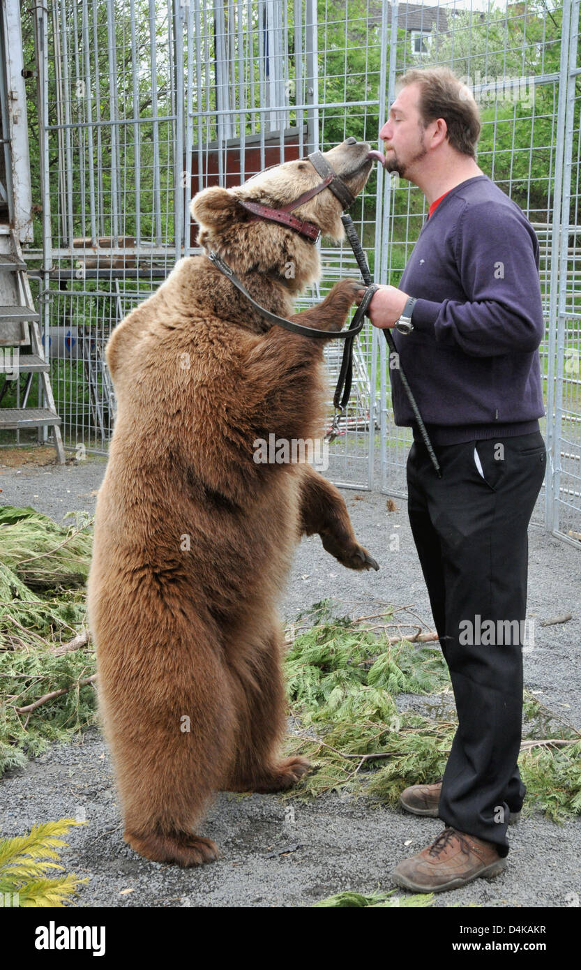 Circus ringmaster Daniel Renz (R) frolicks with brown bear Katja (L) in ...