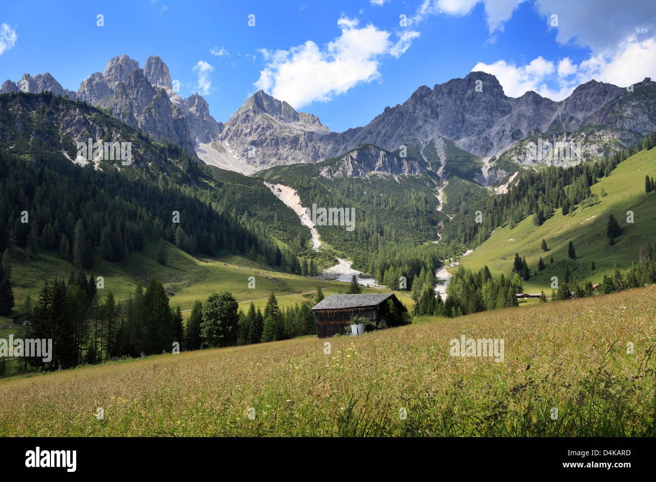 Filzmoos, Austria, alpine meadow in the Dachstein mountains in Salzburg ...