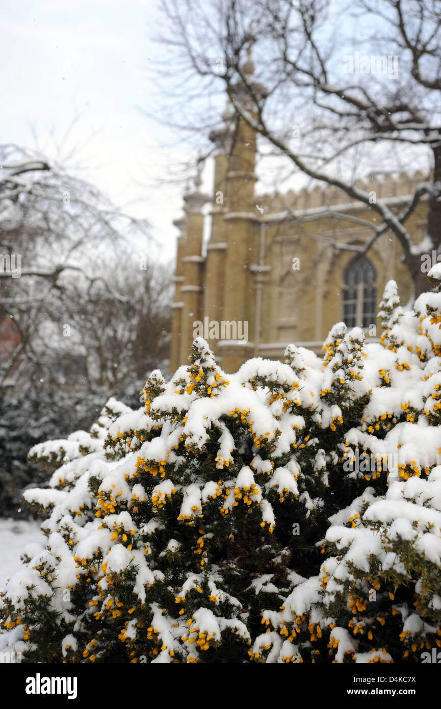 Snow around the Royal Pavilion and Gardens in Brighton Sussex UK Stock ...