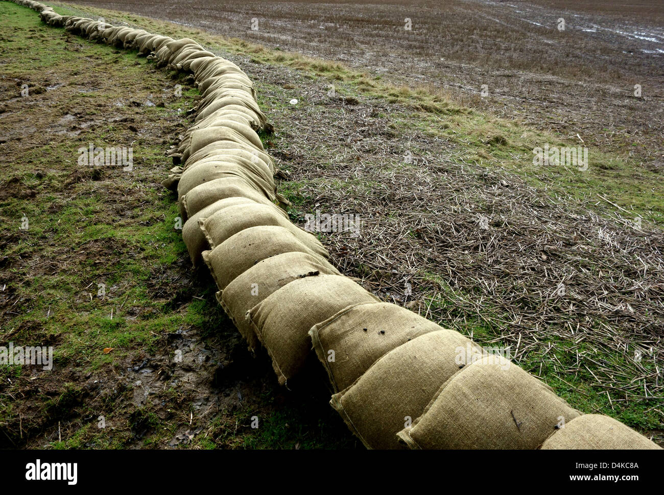 Sandbags placed in field as flood defence in Somerset Levels, England ...