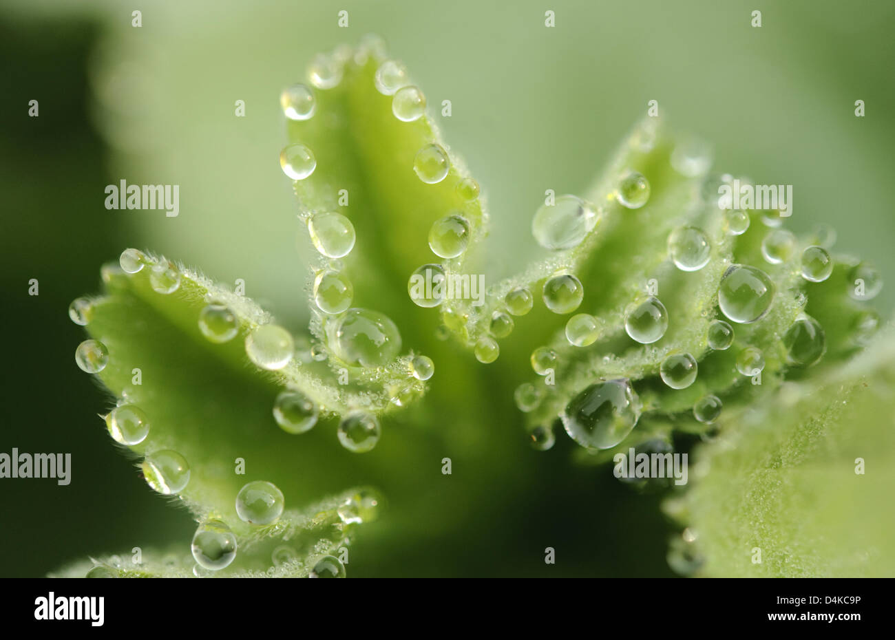 17 april 2009 hi-res stock photography and images - Alamy