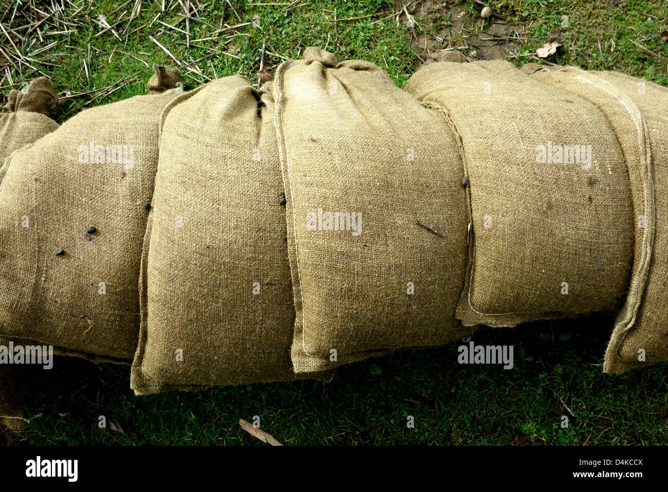 Sandbags placed in field as flood defence in Somerset Levels, England ...