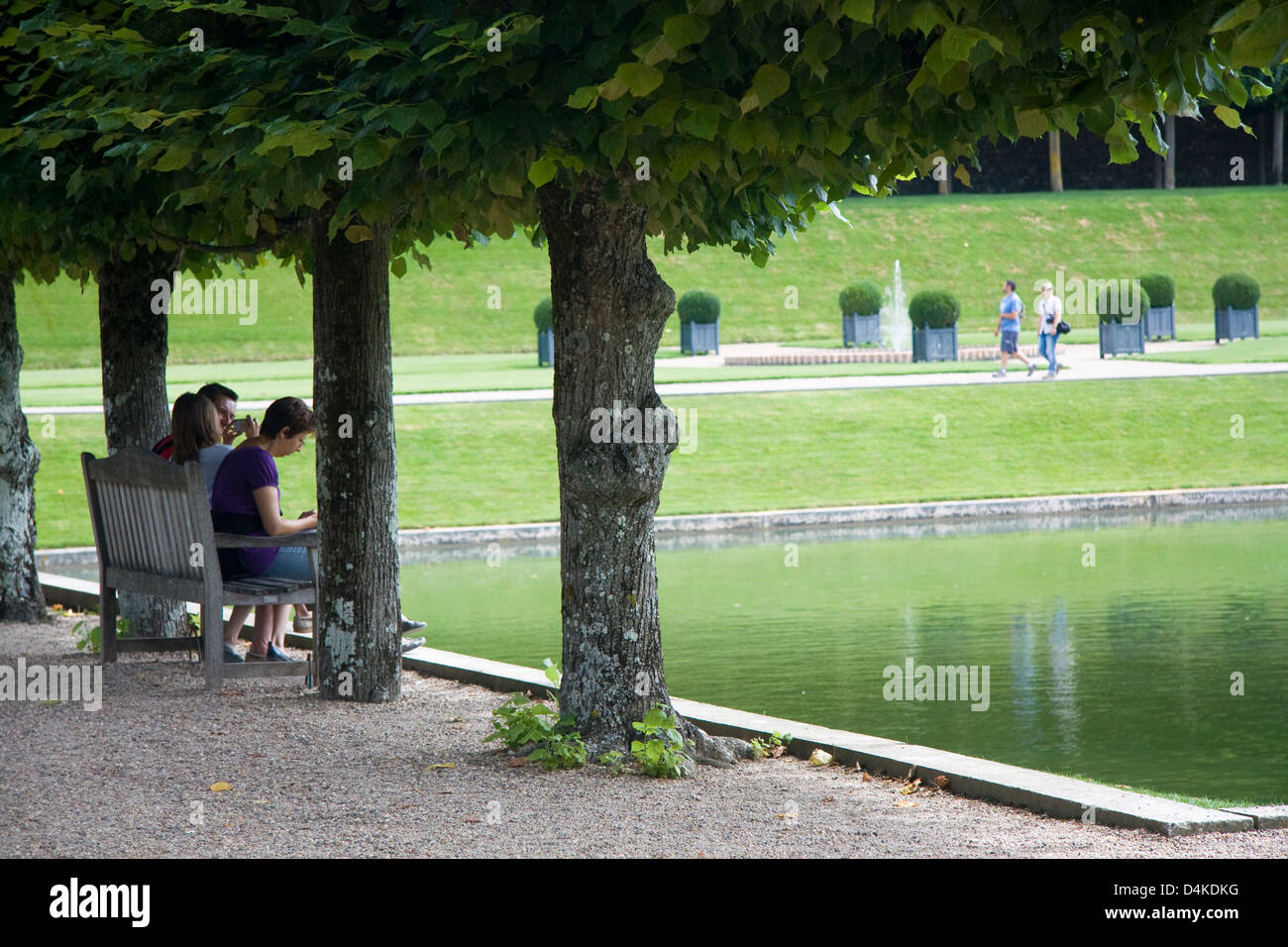 Under the lime trees hi-res stock photography and images - Alamy