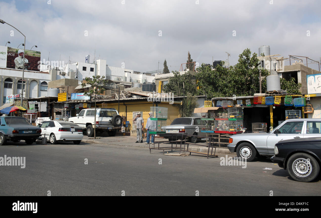 Street scene in Beirut, Lebanon, 07 July 2009. Photo: Arno Burgi Stock ...