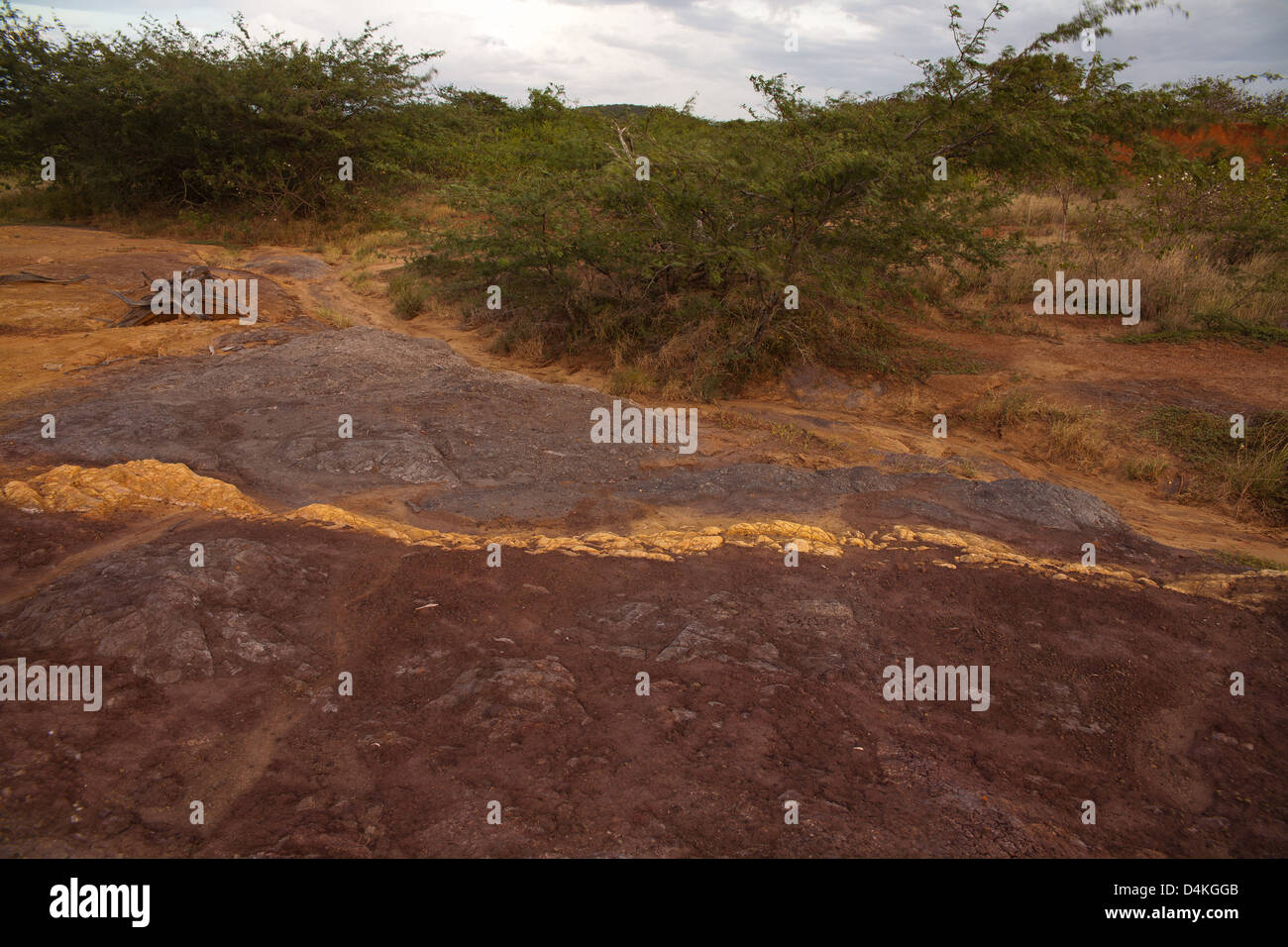 Landscape in Sarigua national park, Herrera province, Republic of ...