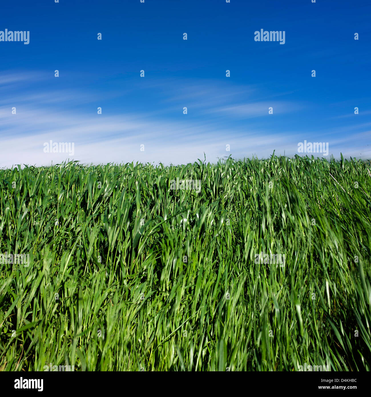 Green Fields Of France High Resolution Stock Photography and Images - Alamy