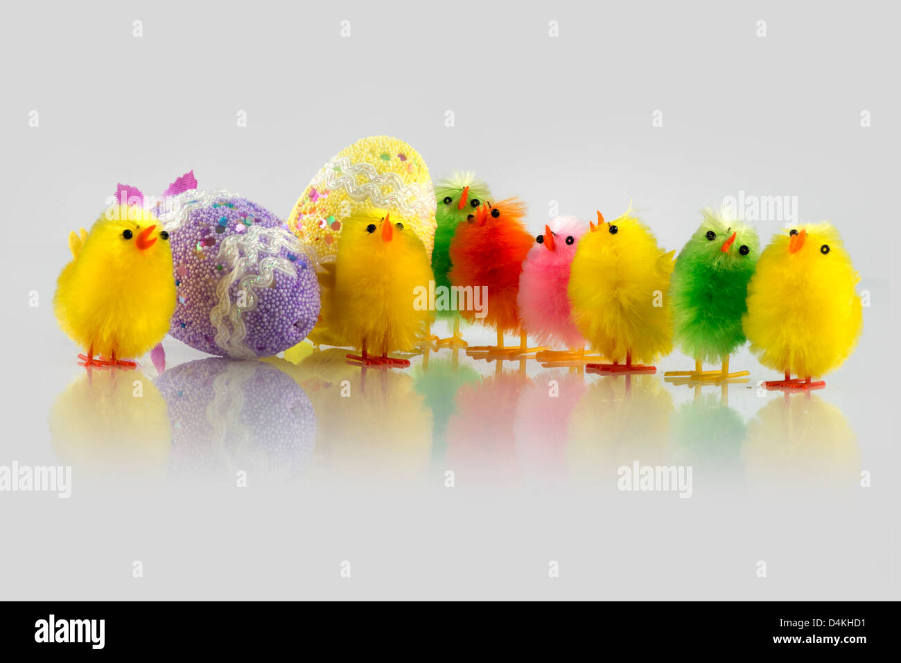 Coloured chicken eggs hi-res stock photography and images - Alamy