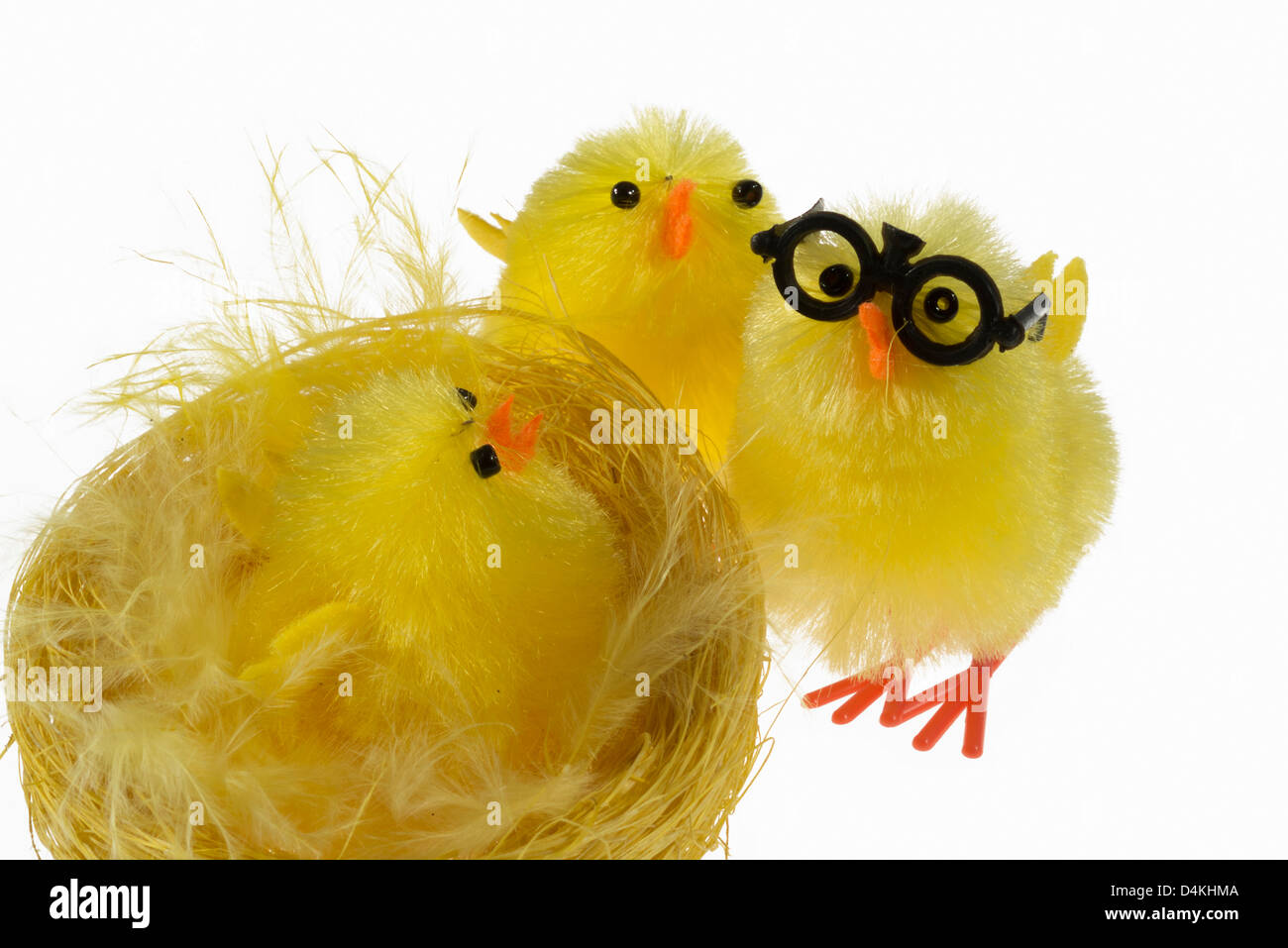 Fluffy Easter Chick family isolated on the white background Stock Photo ...