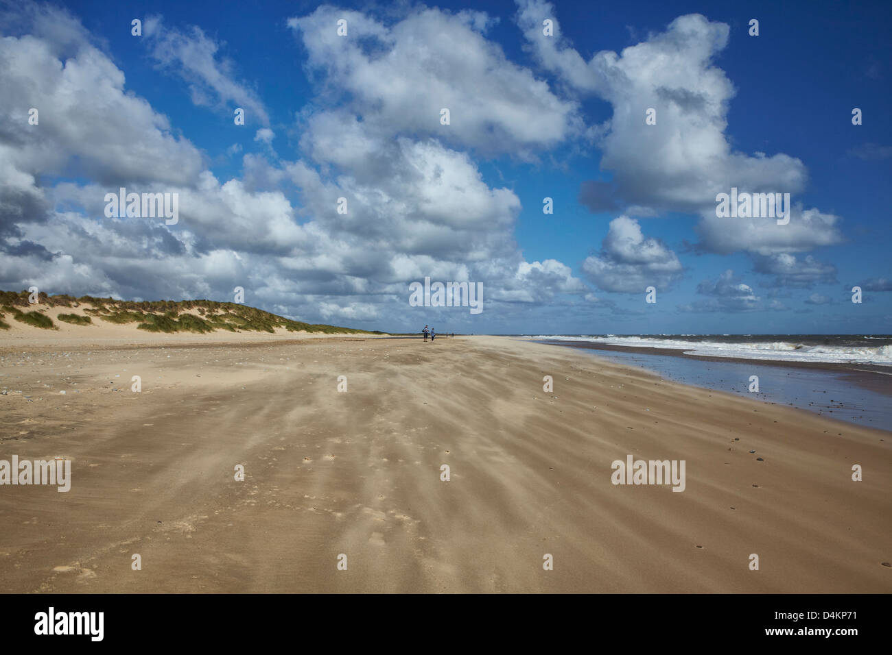 Windswept beach at Winterton, Norfolk, UK Stock Photo - Alamy