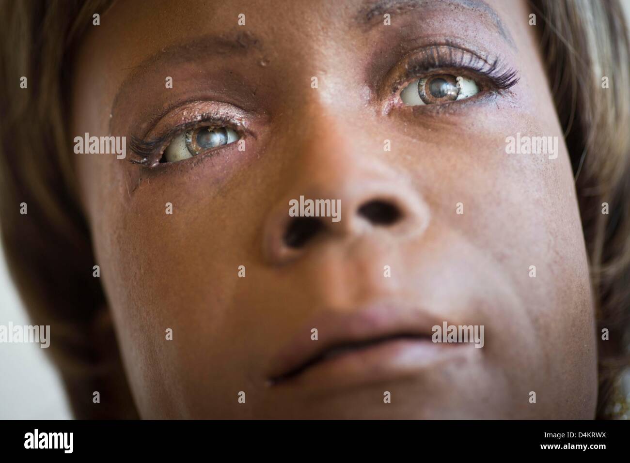 Wetzlar, Germany. 15th March 2013. The robot lady Bina48 is on display ...