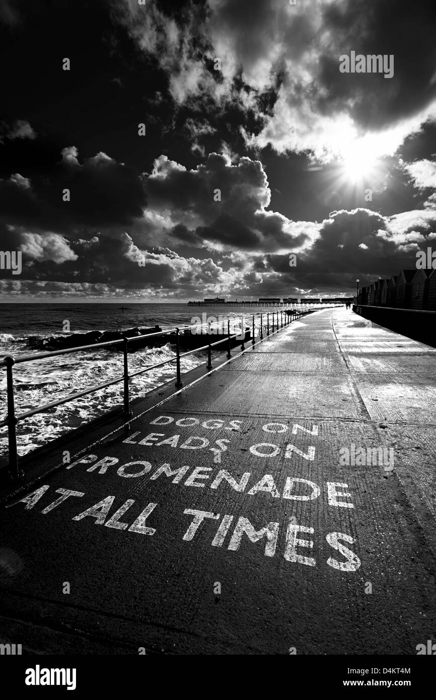 Signs about dogs on the promenade sea wall at Southwold, Suffolk Stock ...