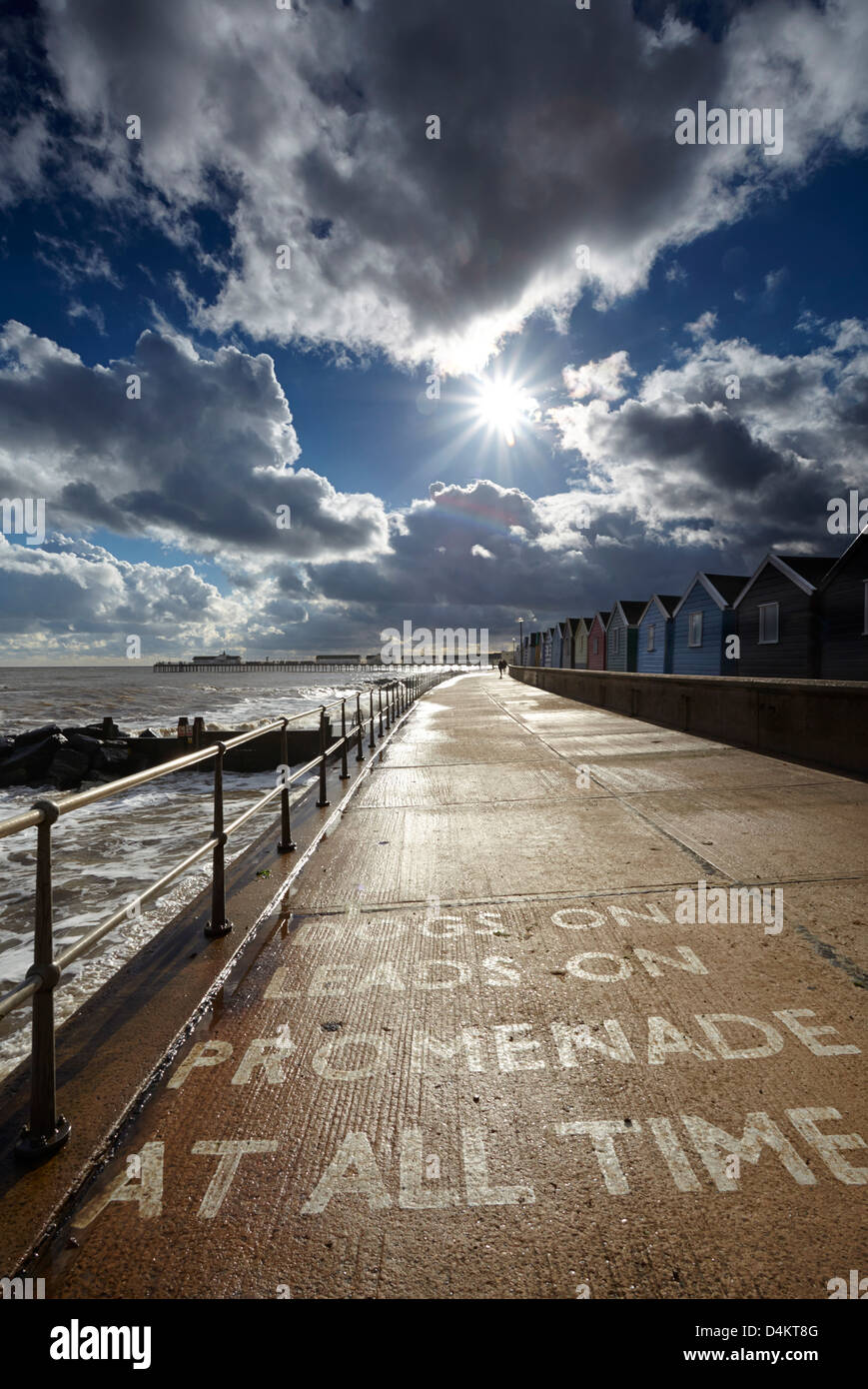 Signs about dogs on the promenade sea wall at Southwold, Suffolk Stock ...