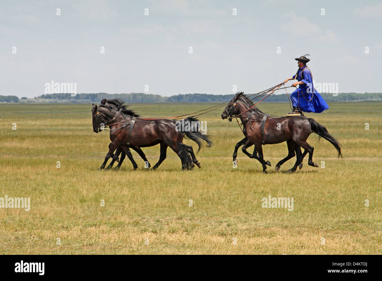 Display of horsemanship from gulyas (traditional herdsmen / cowboys ...