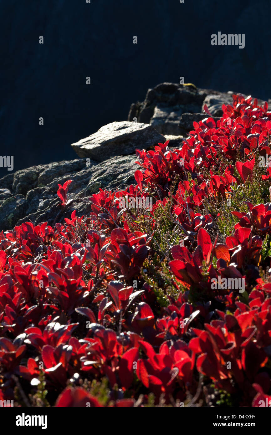 Wow most beautiful of fall colors hi-res stock photography and images ...