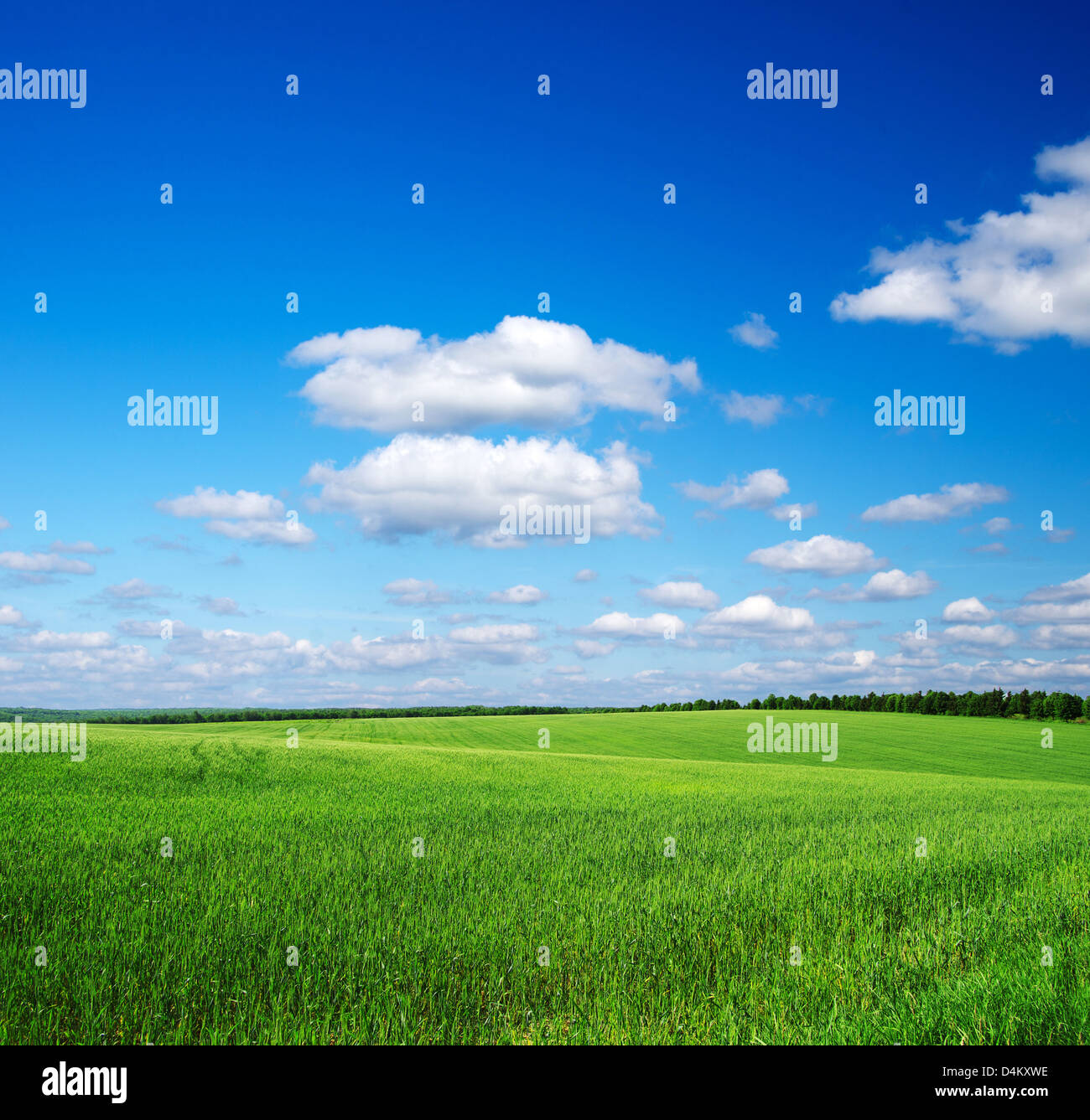 green field and blue sky Stock Photo - Alamy