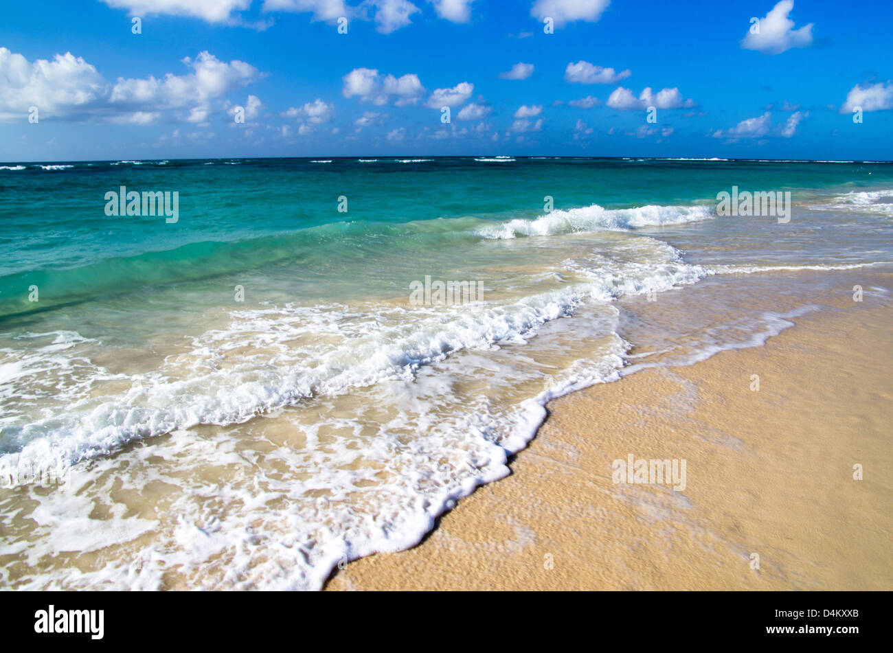 tropical sea under the blue sky Stock Photo - Alamy