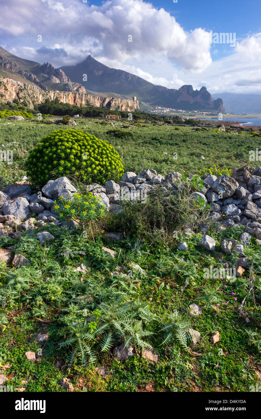 Spring Sicily High Resolution Stock Photography and Images - Alamy