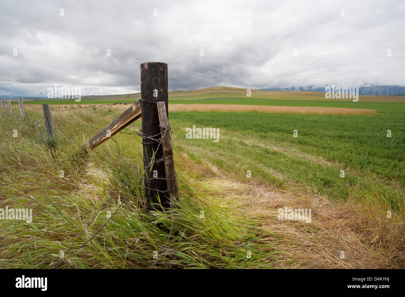 Empty field surrounded by a fence with a stormy sky, prairies near ...
