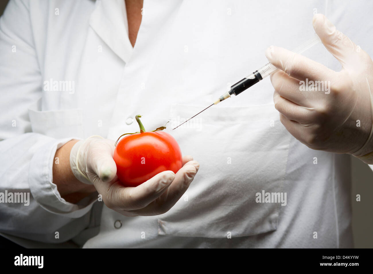 Scientist injecting tomato with syringe Stock Photo - Alamy