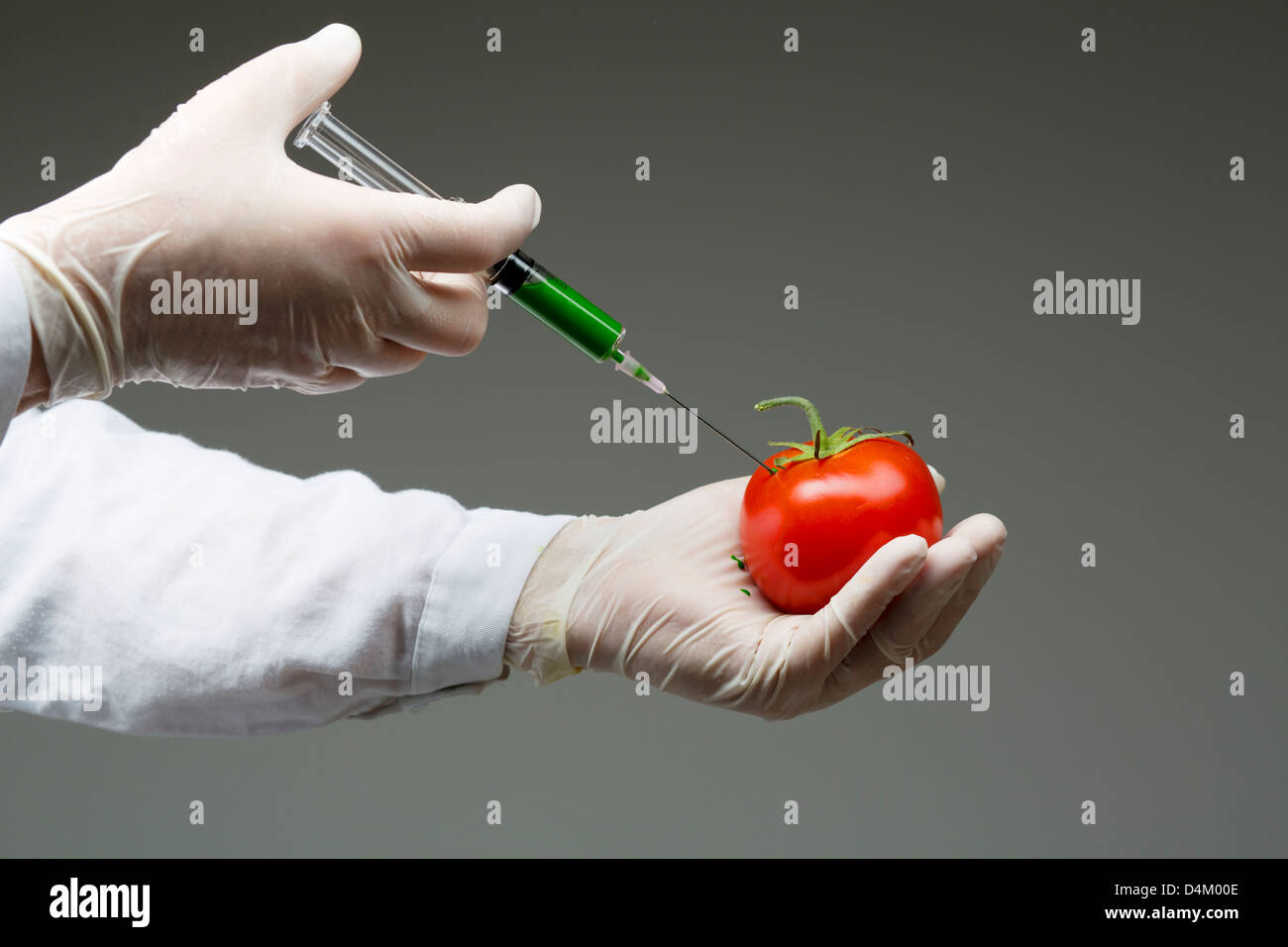 Scientist injecting tomato with syringe Stock Photo - Alamy