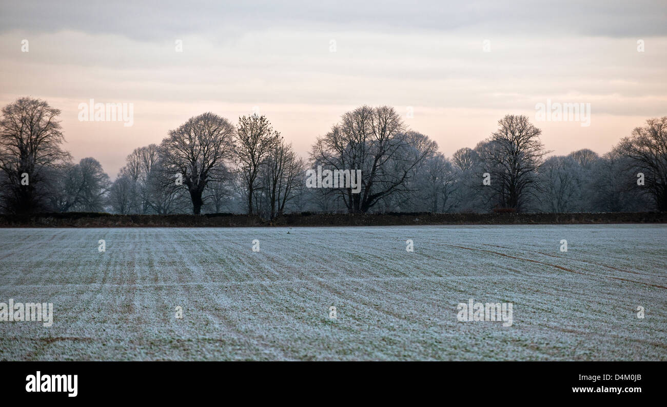 Fields farm snow winter hi-res stock photography and images - Alamy
