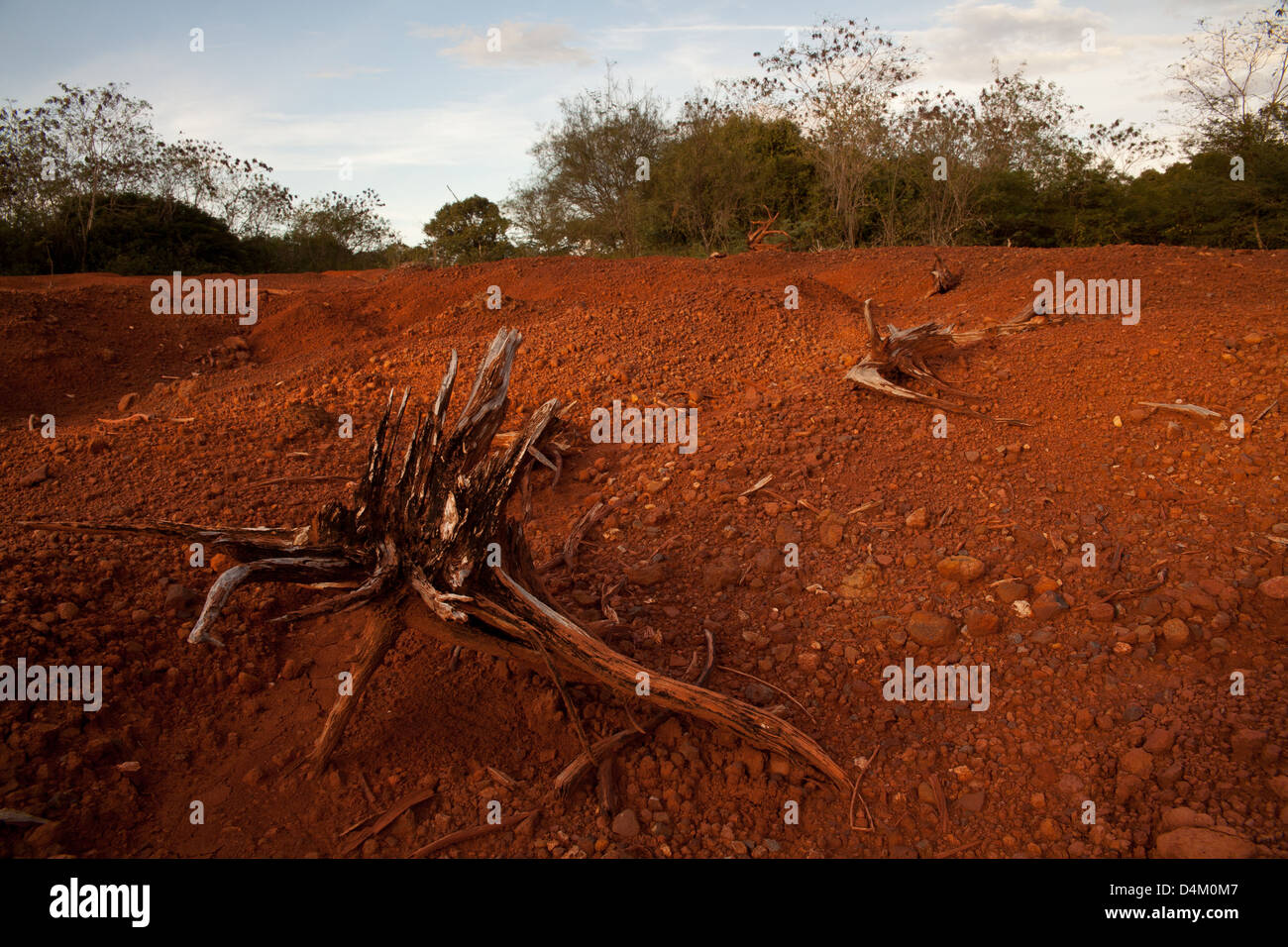 Desert landscape in Sarigua national park, Herrera province, Republic ...