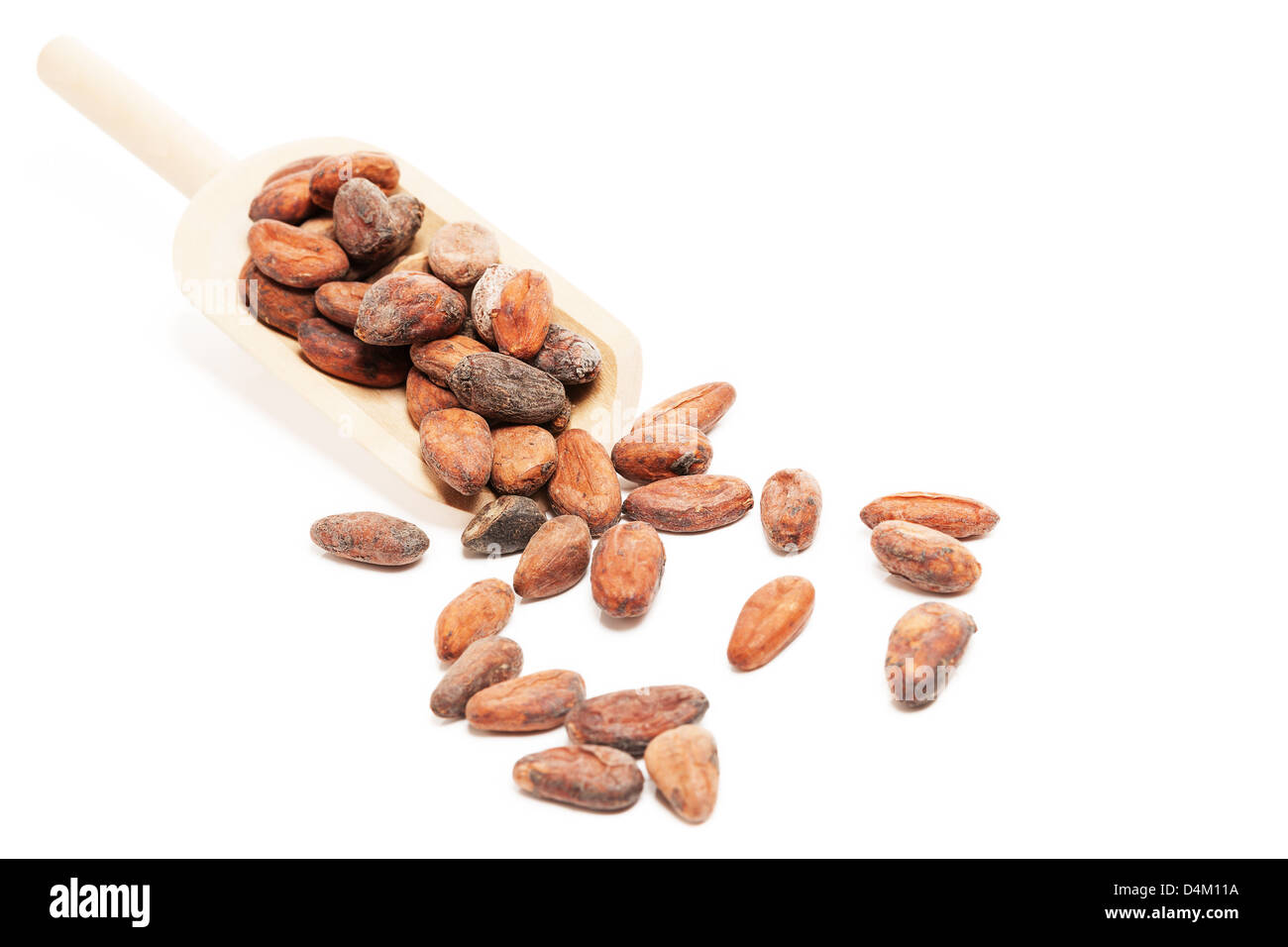 raw chocolate beans with a wooden spoon on white background Stock Photo ...