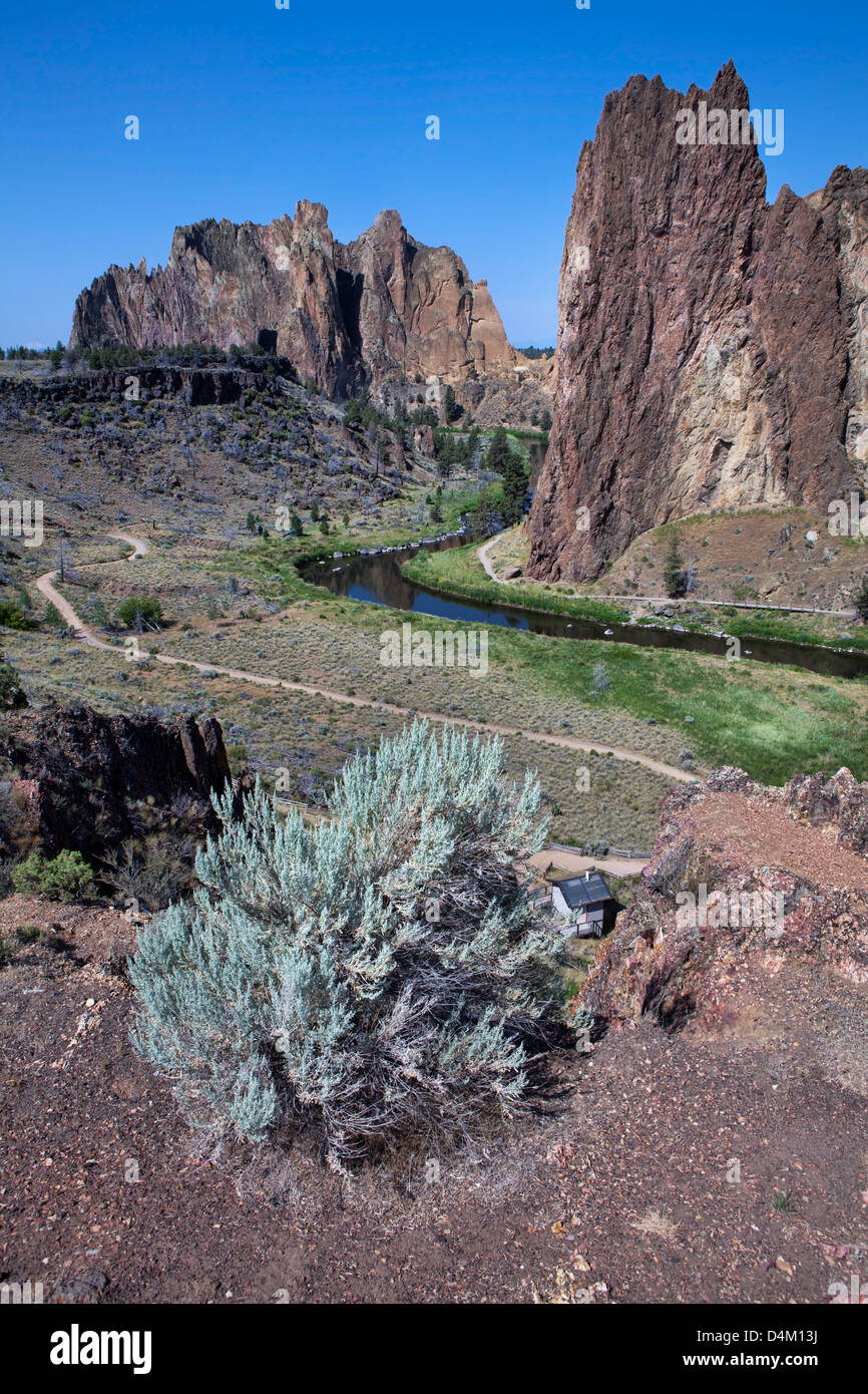 Tree in smith rock hi-res stock photography and images - Alamy