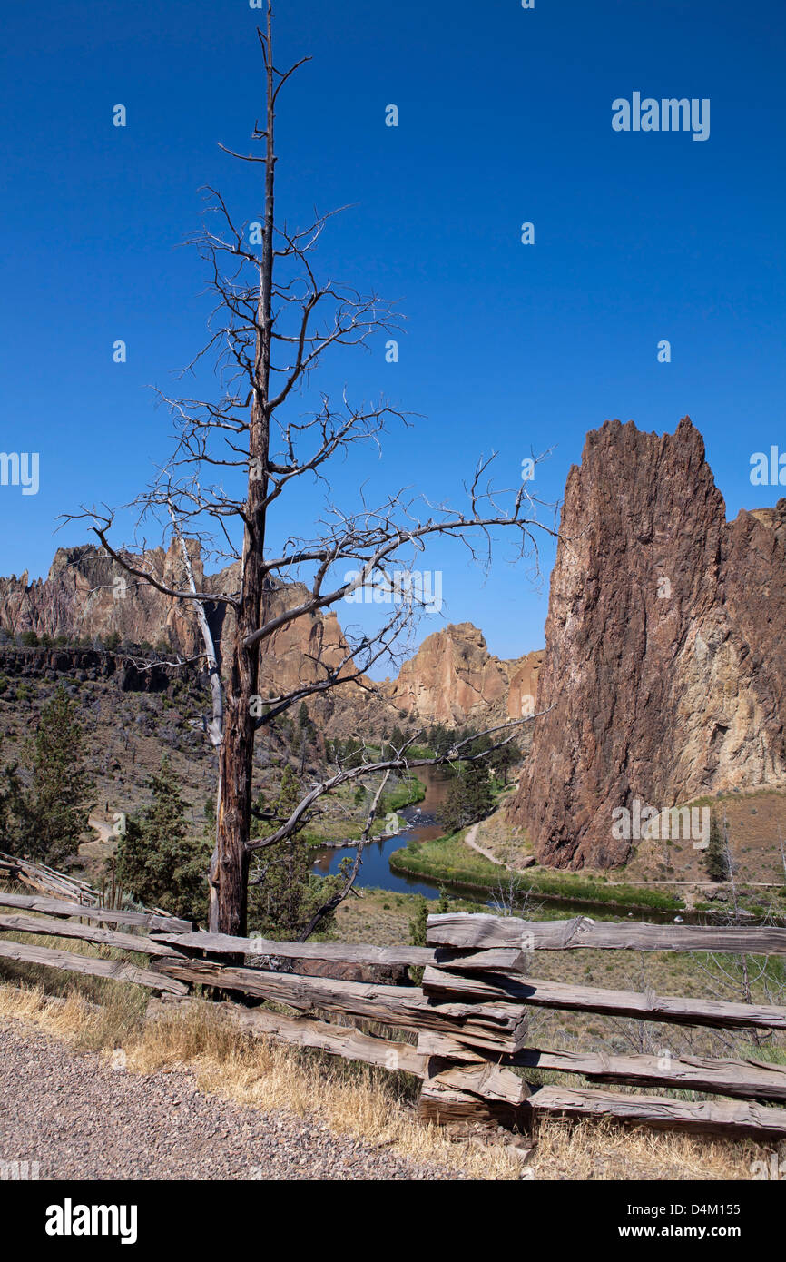 Tree in smith rock hi-res stock photography and images - Alamy