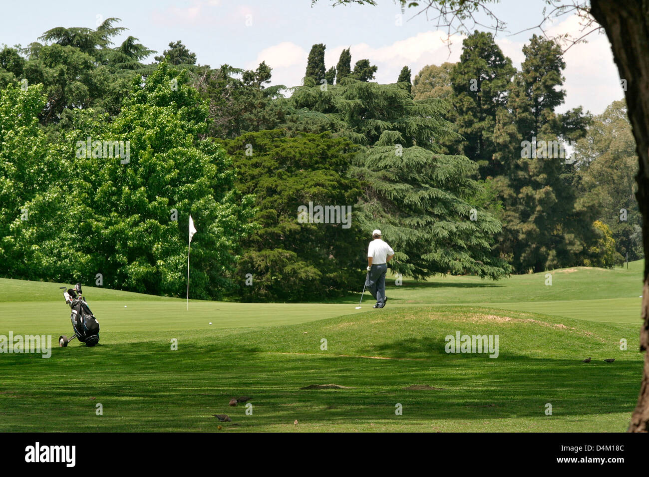 Sunny golf course hi-res stock photography and images - Alamy
