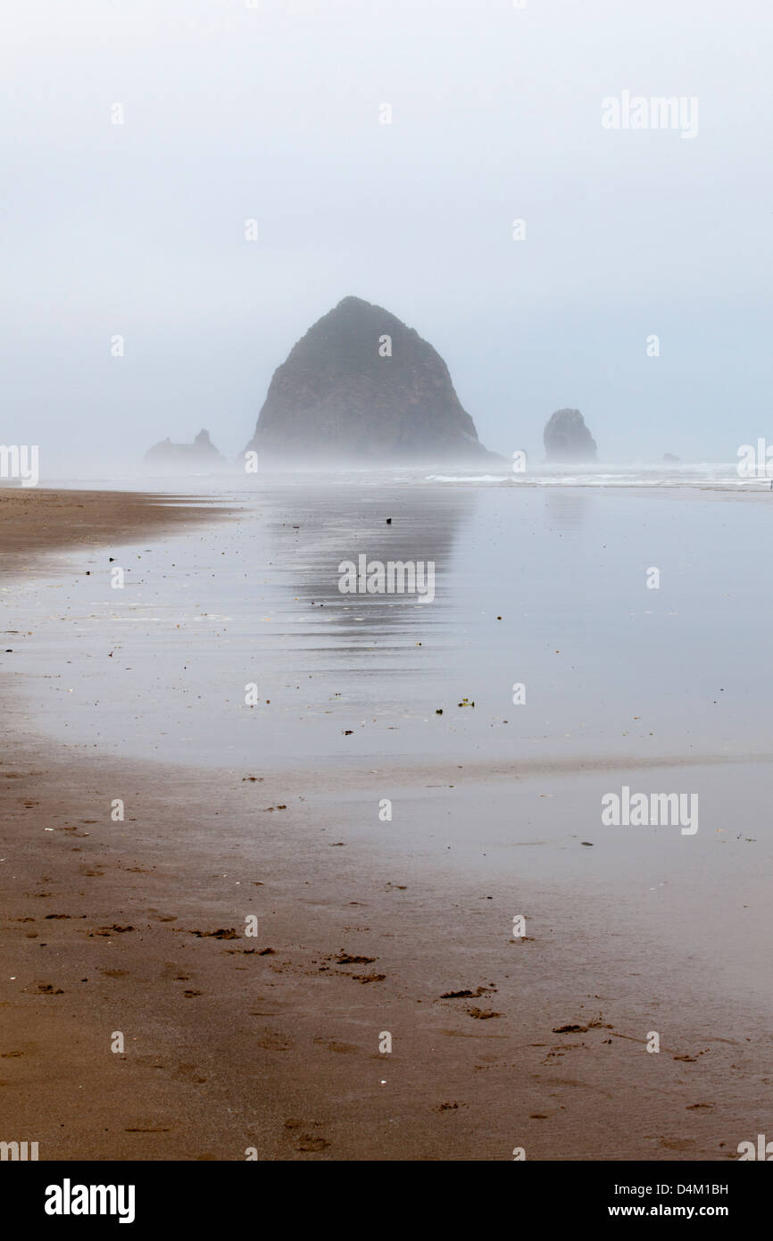 Haystack Rock in foggy morning, Cannon Beach, Oregon, USA Stock Photo ...
