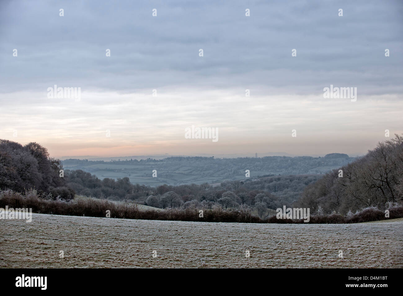Fields in winter with snow and frost Stock Photo - Alamy