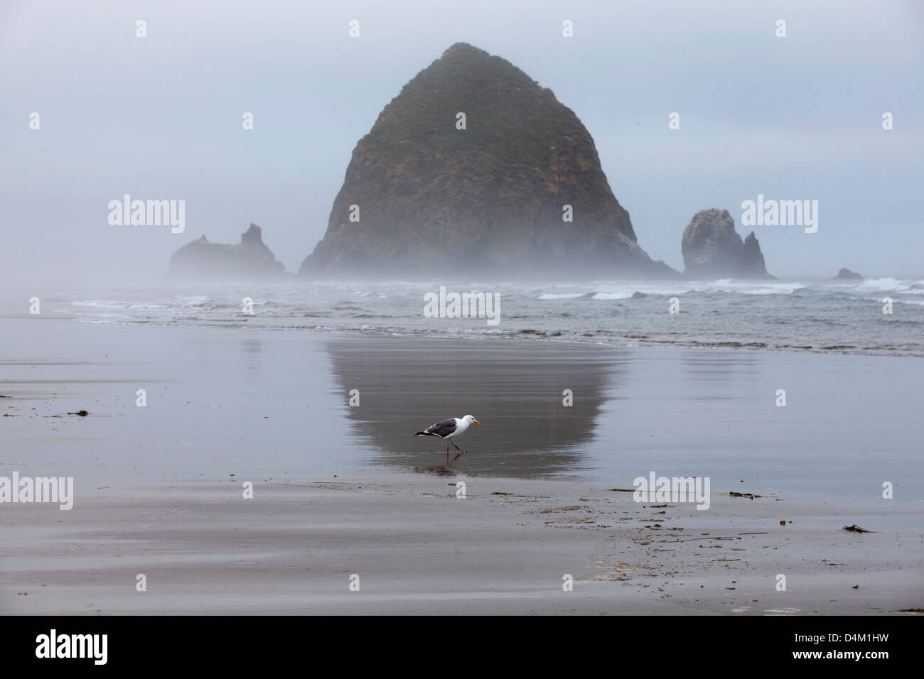 Haystack Rock in foggy morning, Cannon Beach, Oregon, USA Stock Photo ...