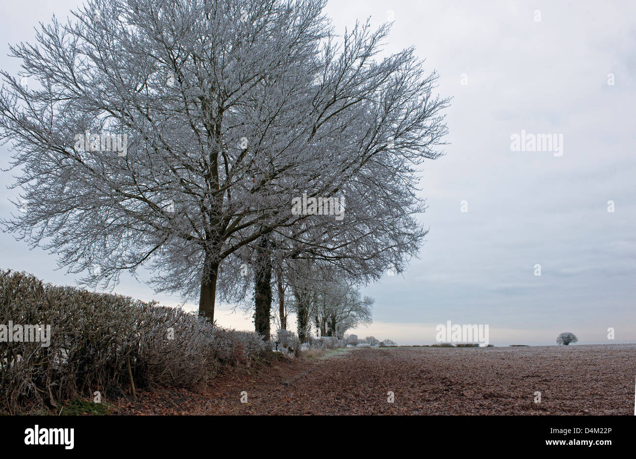 Fields in winter with snow and frost Stock Photo - Alamy